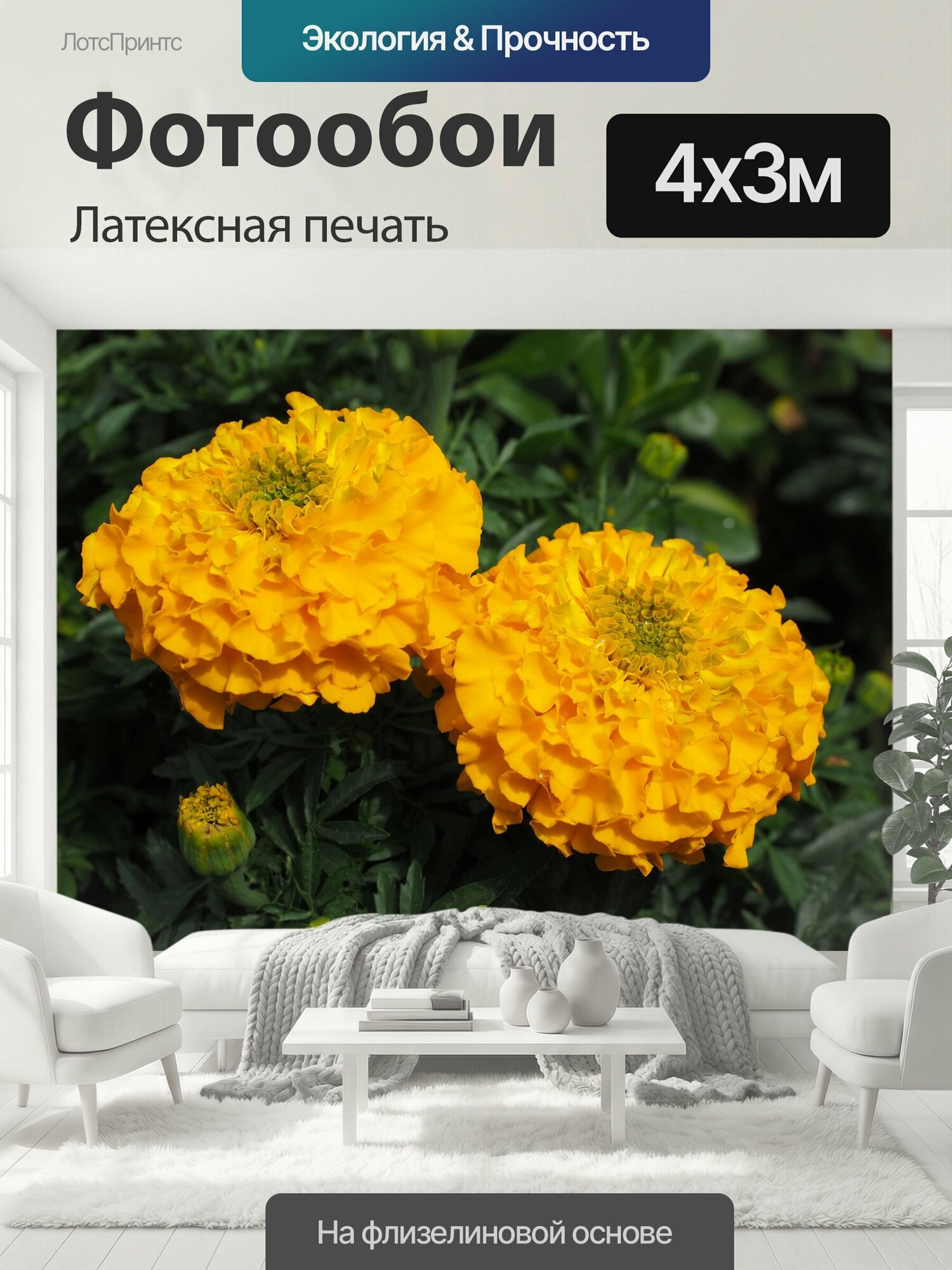 Фотообои моющиеся ударопрочные "Бархатцы, цветок, цвести" 400x300 см. латексная печать