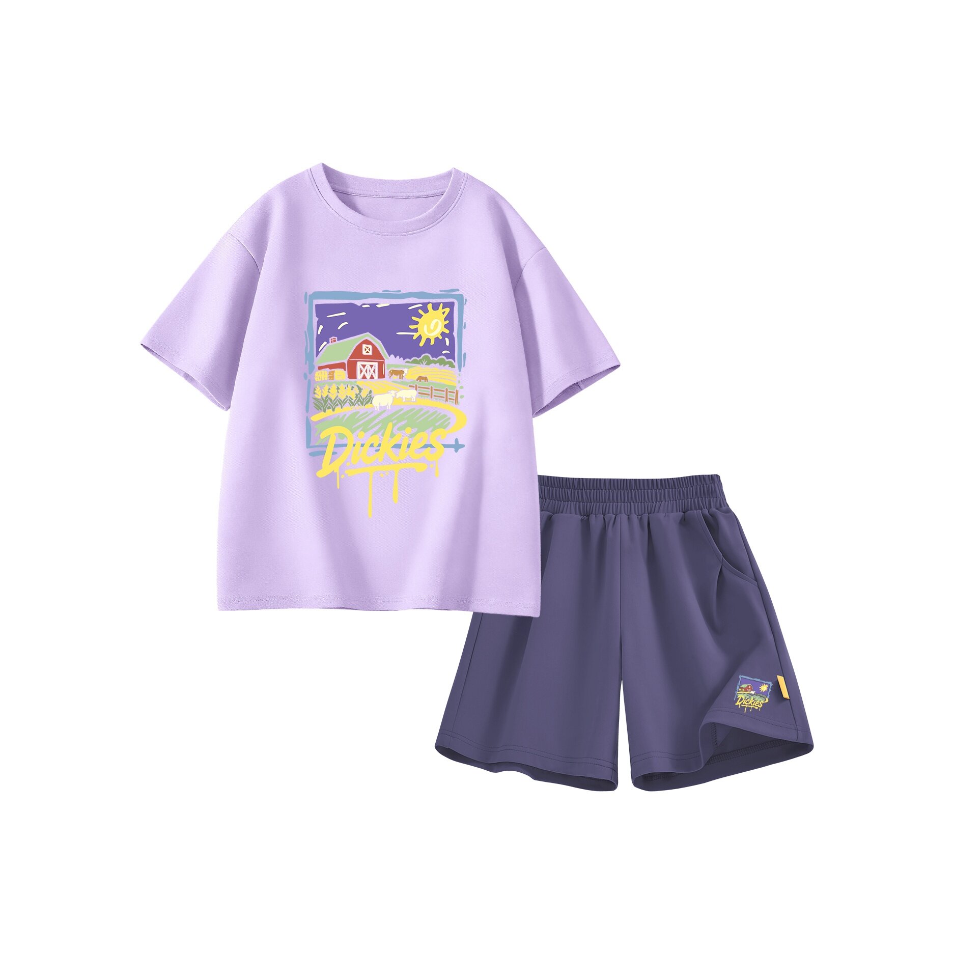 Комплект одежды Dickies