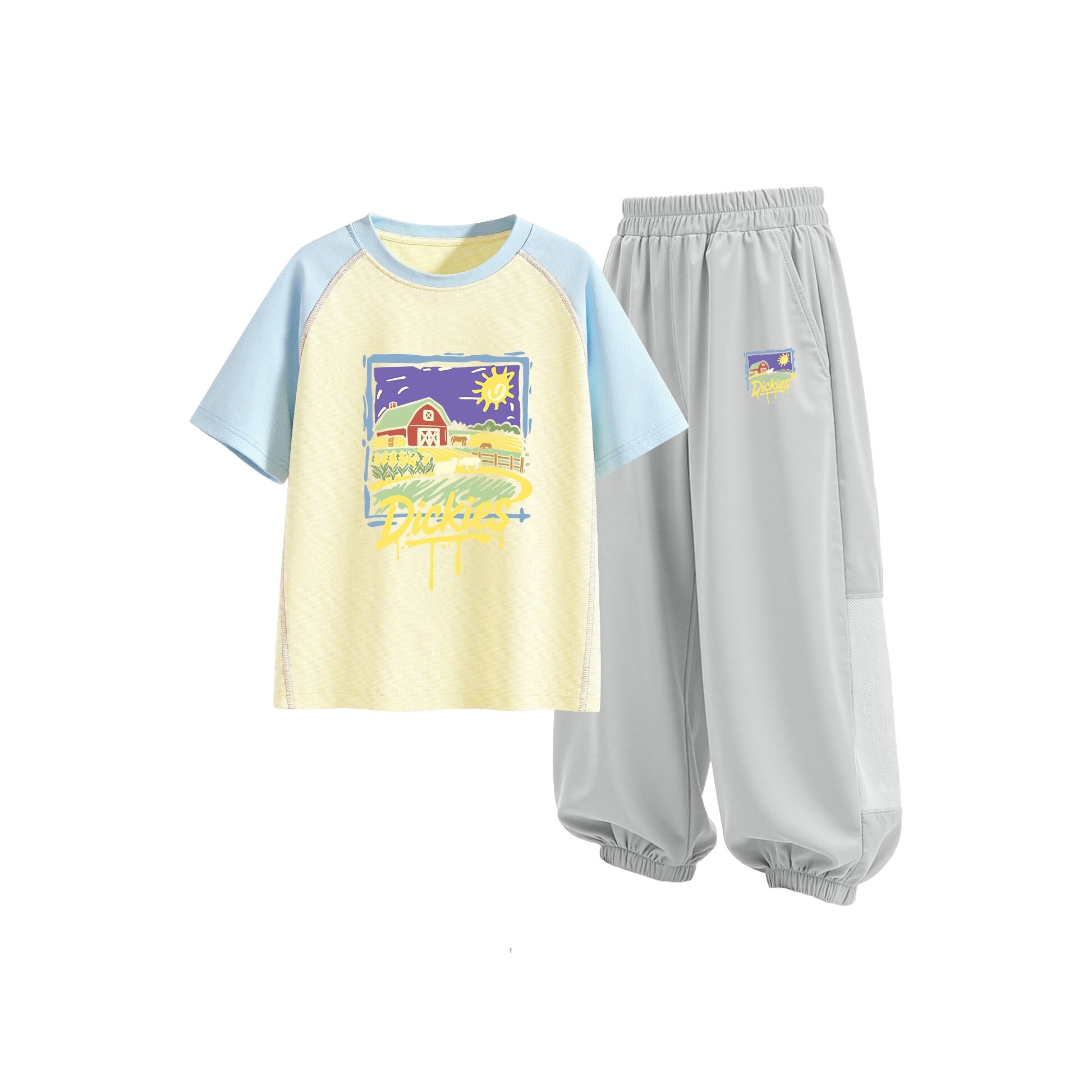 Комплект одежды Dickies