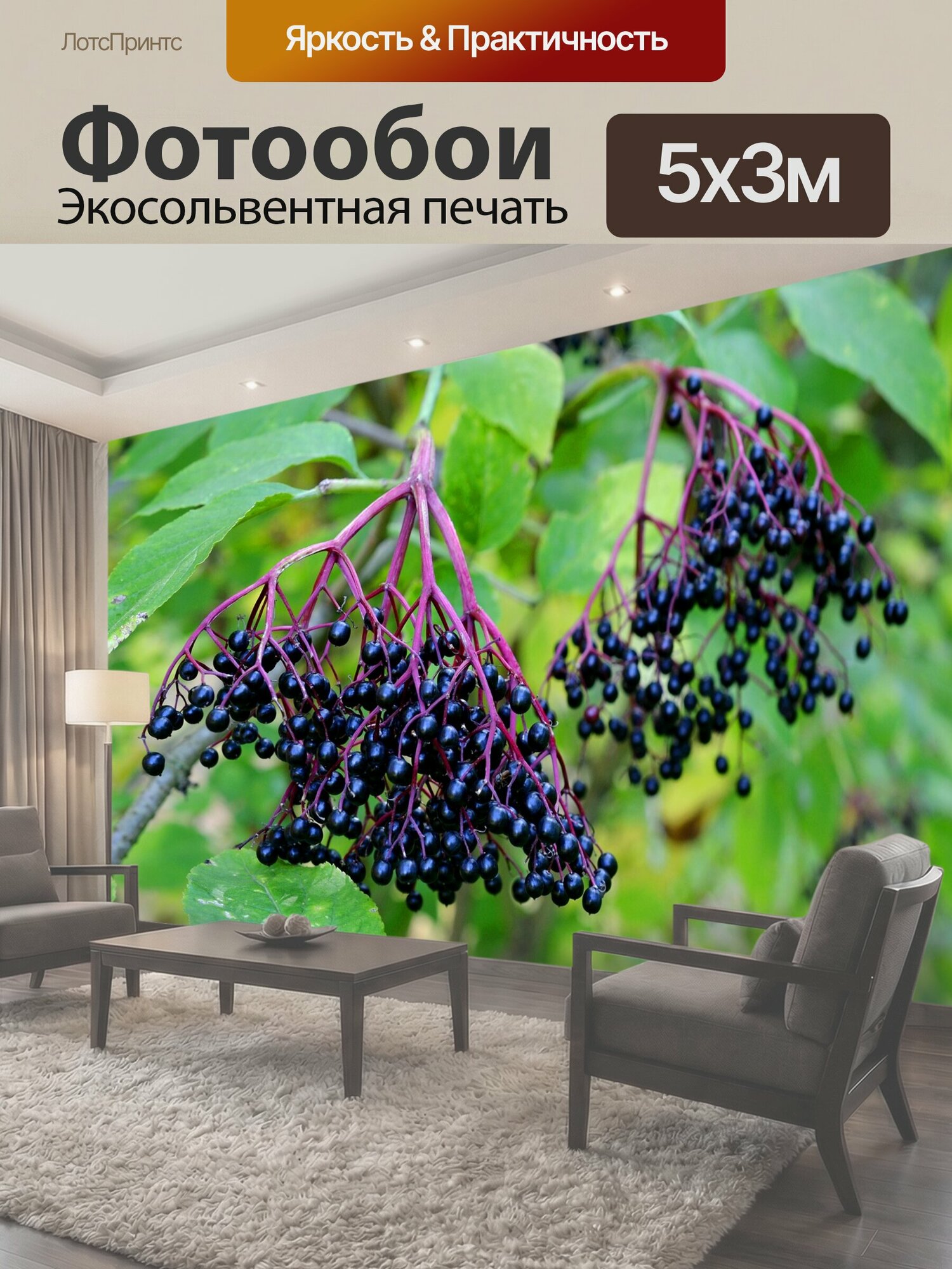 Фотообои "Старейшина, бузина, самбук черный" 500x300 см. экосольвентная печать