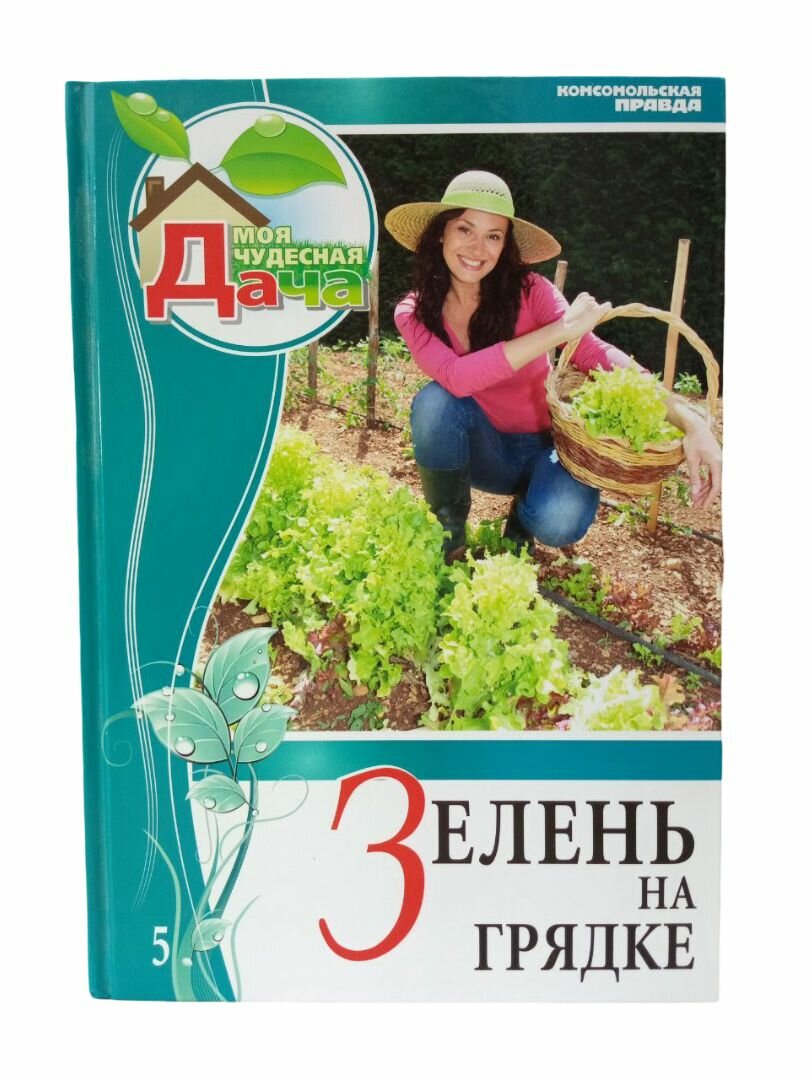 Зелень на грядке. Горбунова Елена — фото 1