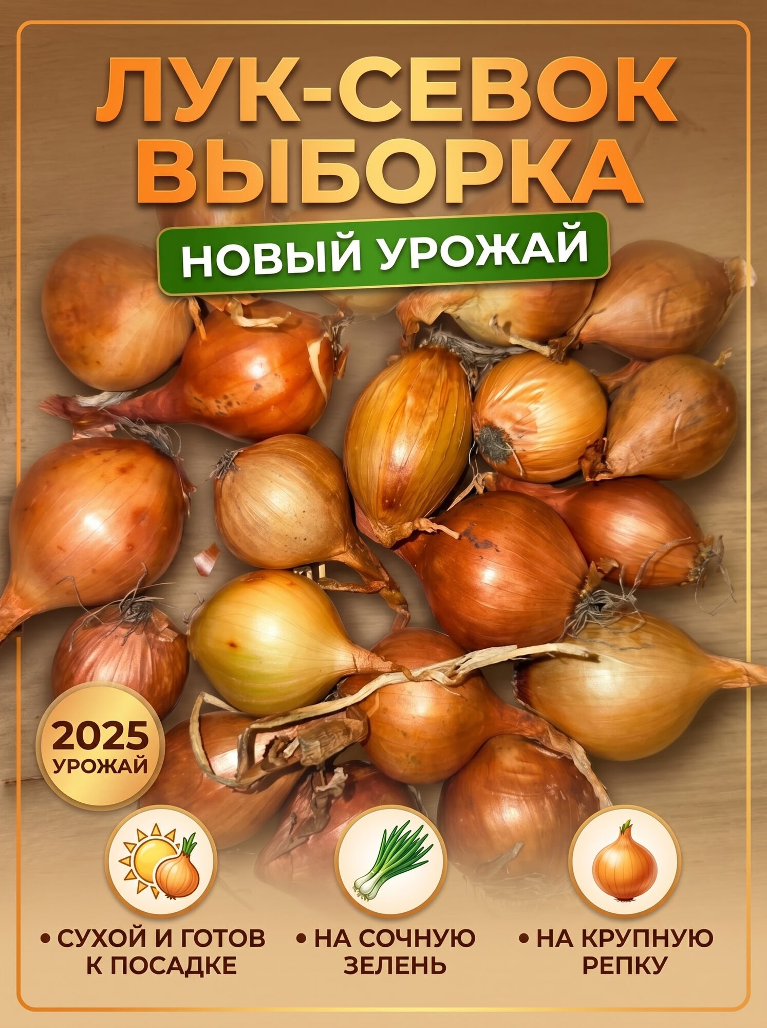 Лук севок Штуттгартер Выборка, 1 кг