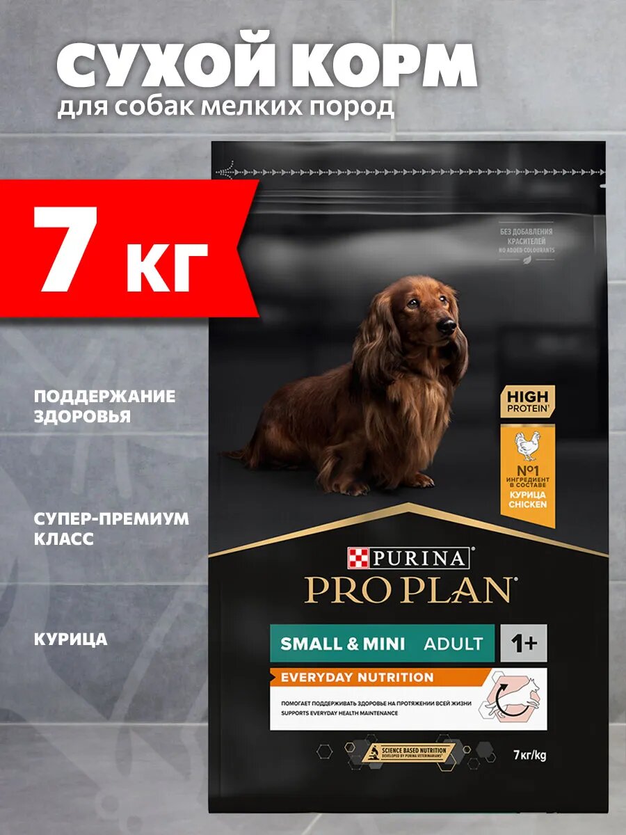 Корм сухой Pro Plan Everyday Nutrition для взрослых собак мелких и карликовых пород, курица, 7 кг