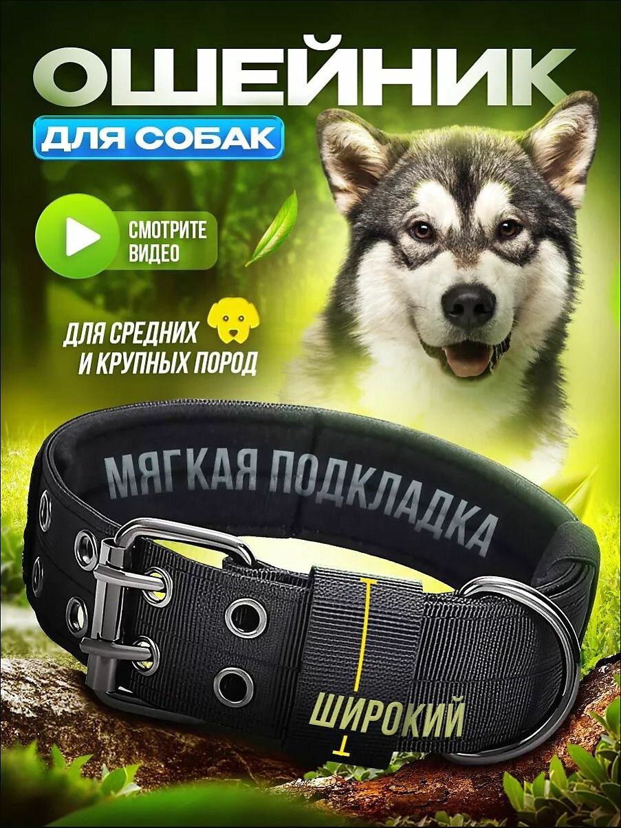 Ошейник для собак крупных и средних пород, чёрный, размер XL