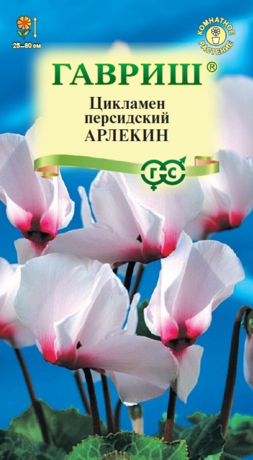 Семена цикламена Гавриш Арлекин, многолетний клубневый, 3 шт 002486