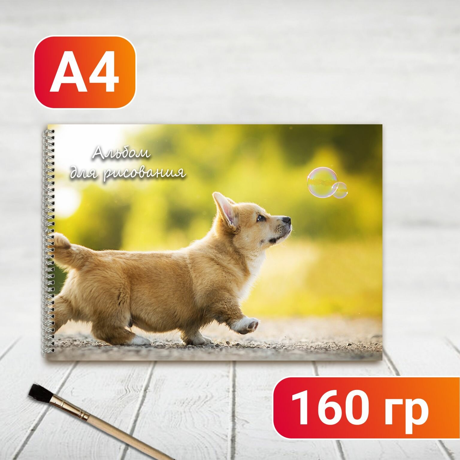 Альбом для рисования Корги