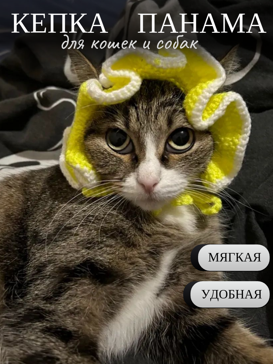 Шапка панама для кота и кошки для маленьких собак, летняя на завязках