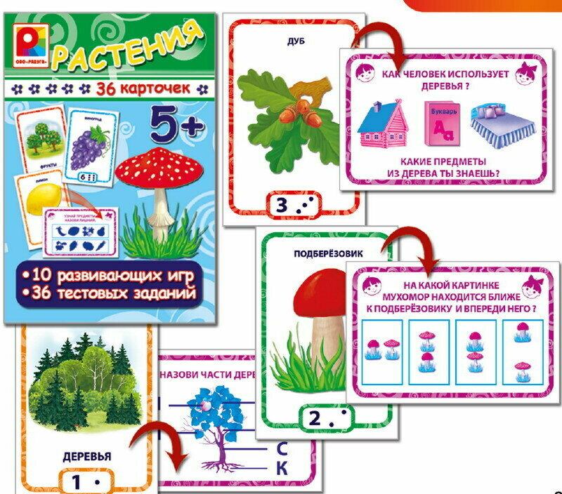 Настольная игра "Игры с карточками. Растения". Познавательное и речевое развитие.