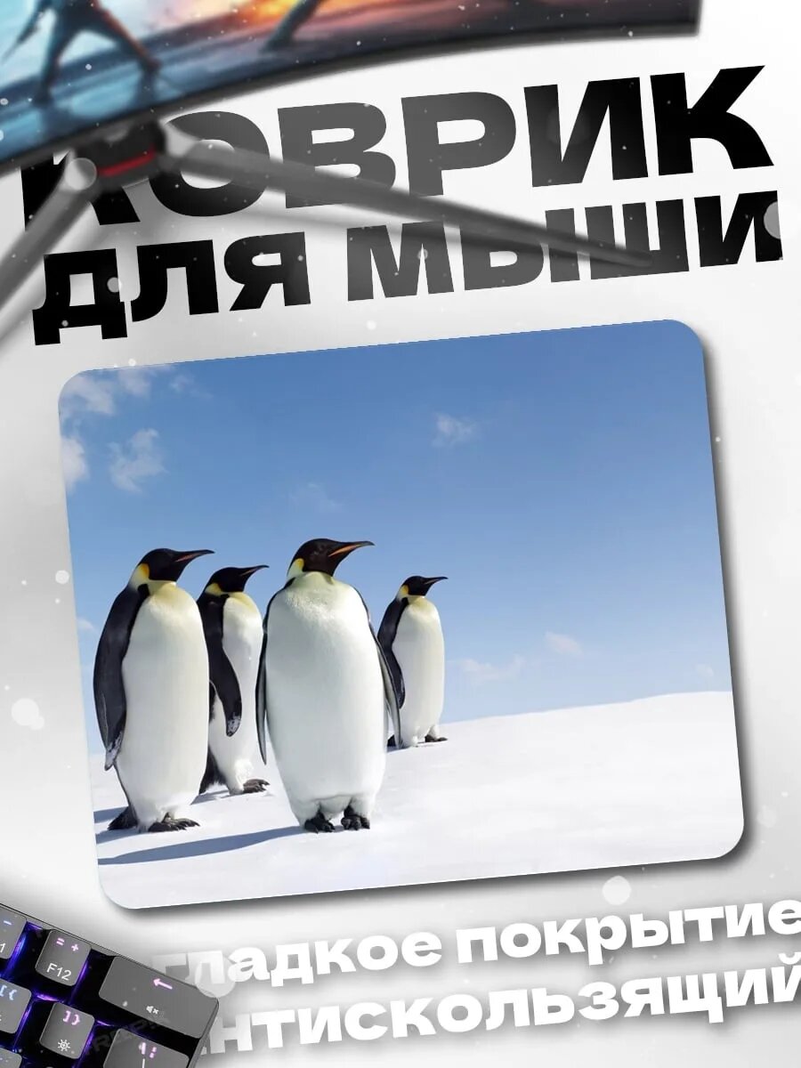 Коврик для мыши Пингвины в снегах