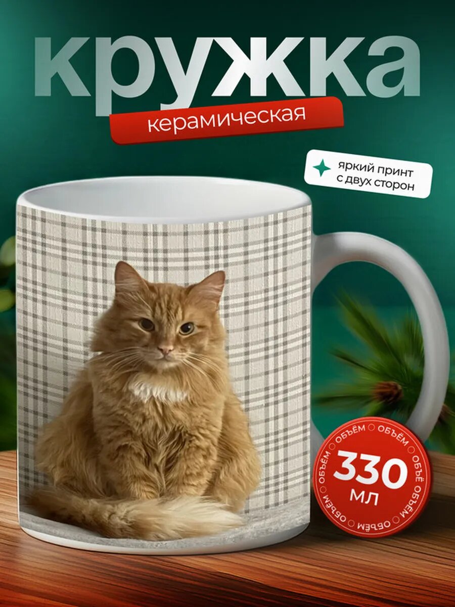 Кружка Американский рингтейл длинношерстный кот 5,