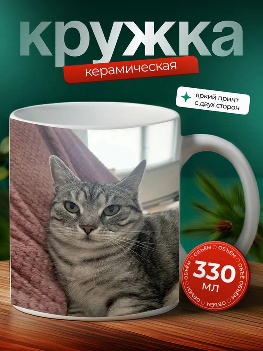 Кружка Американская многоногая кошка 5,