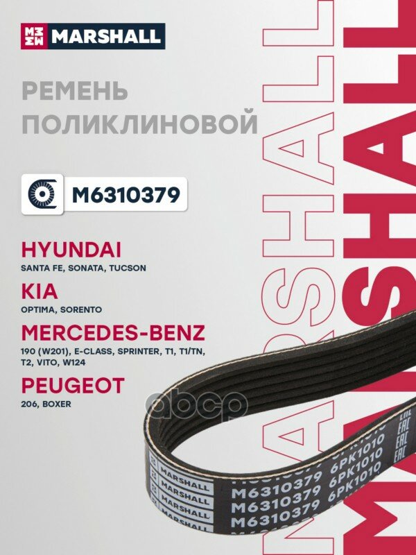 Ремень поликлиновой MARSHALL арт. M6310379