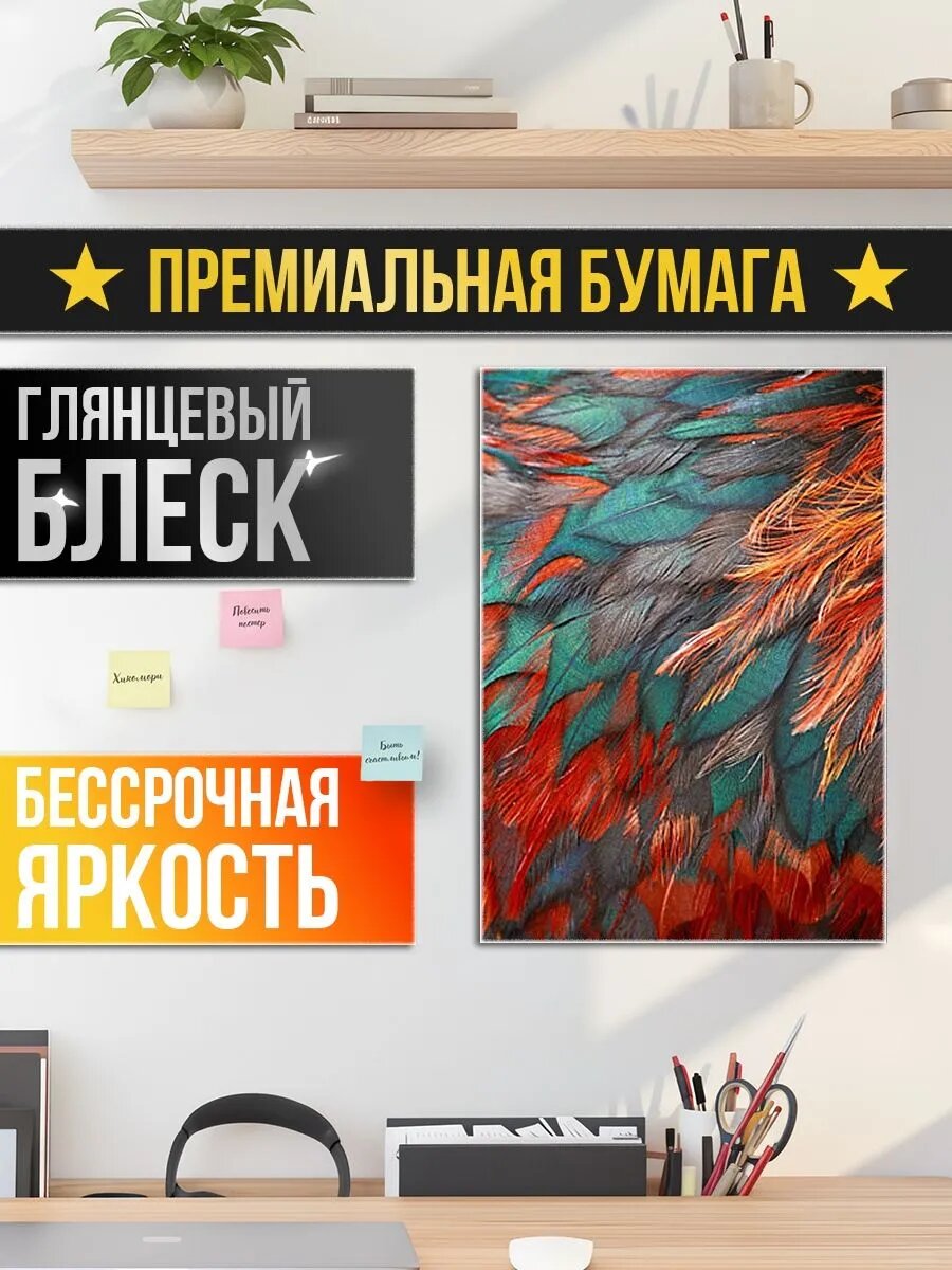 Постер на стену Перья — фото 1