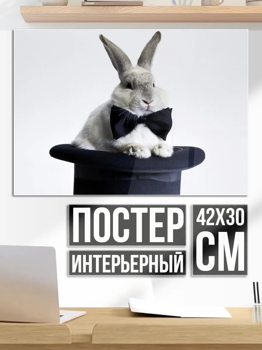 Плакат постер кролик в цилиндре