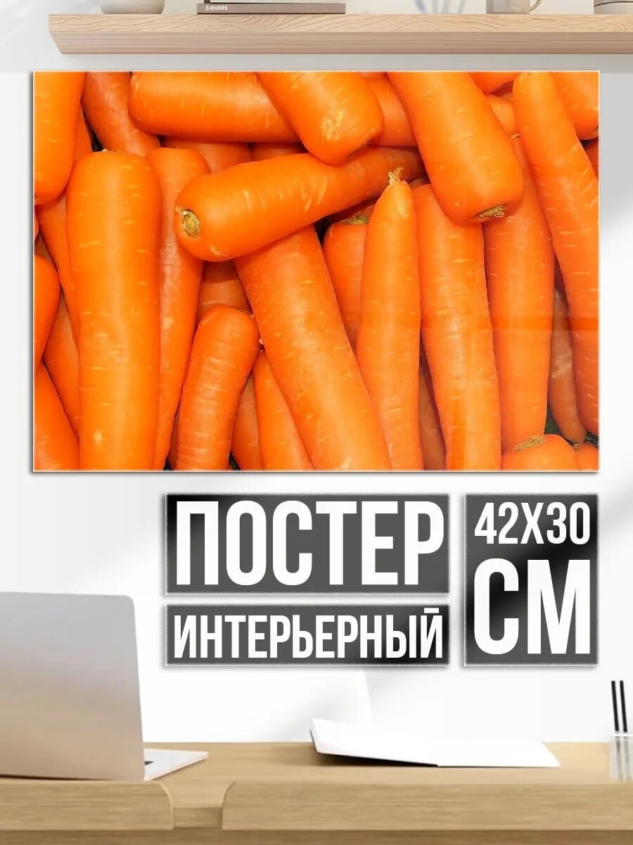 Плакат постер Морковь крупным планом