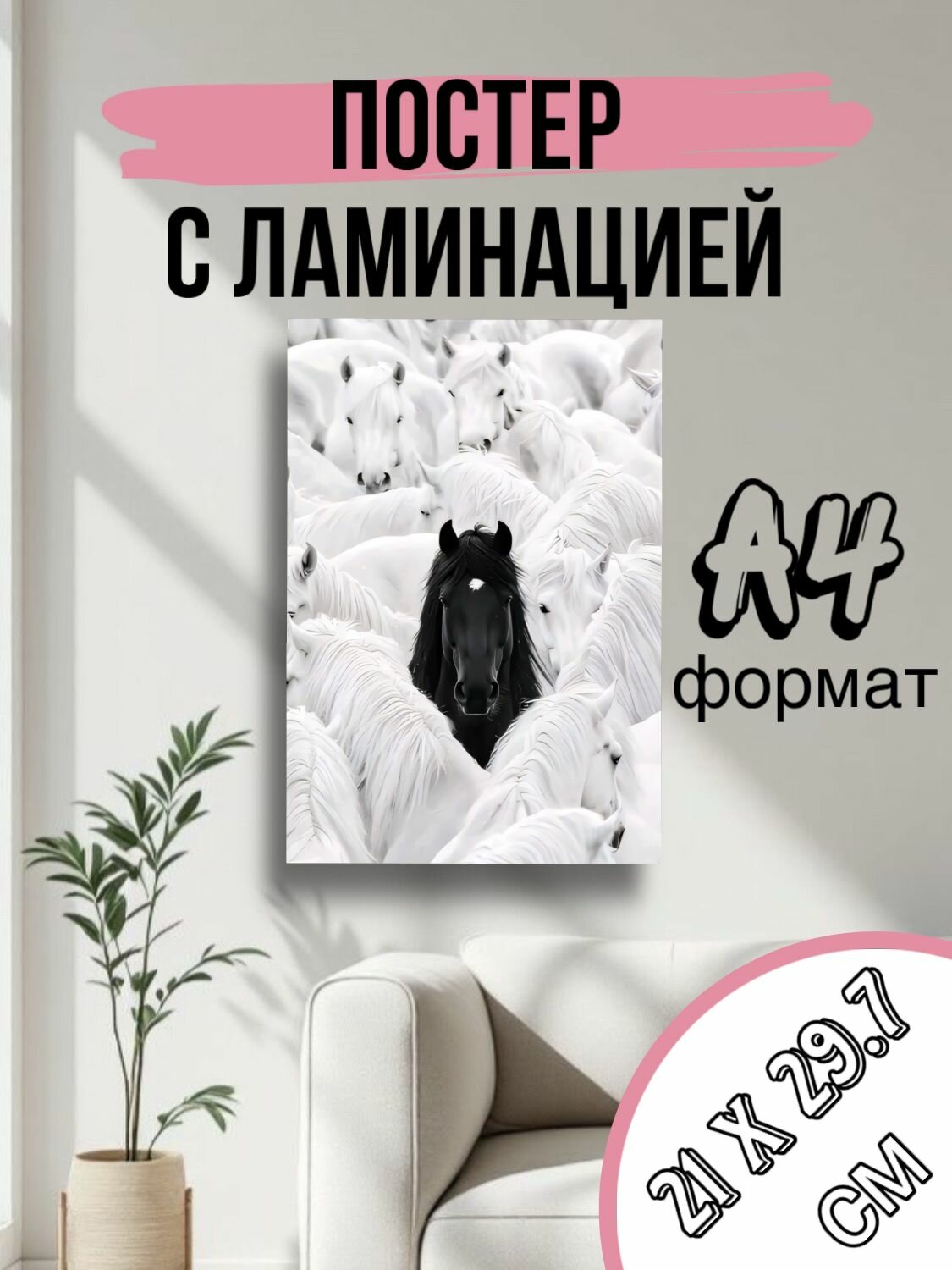 Постер