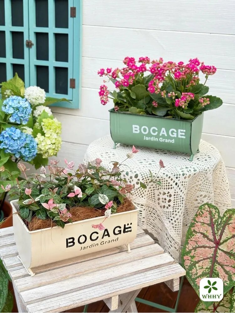 Металлическое кашпо BOCAGE для цветов, прямоугольный садовый горшок, 25×15×13 см — фото 1
