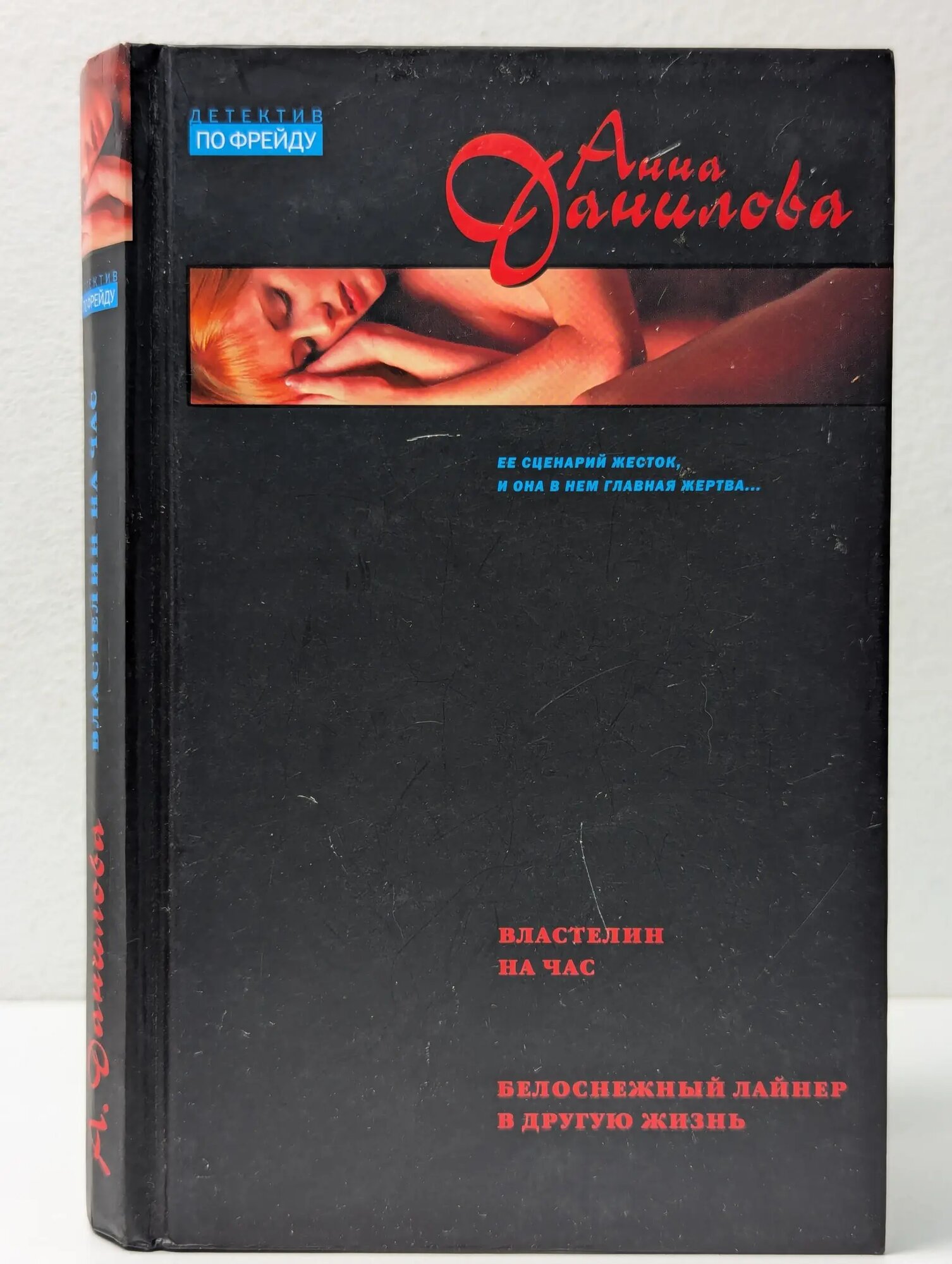 Властелин на час. Белоснежный лайнер в другую жизнь Данилова Анна Васильевна 2006