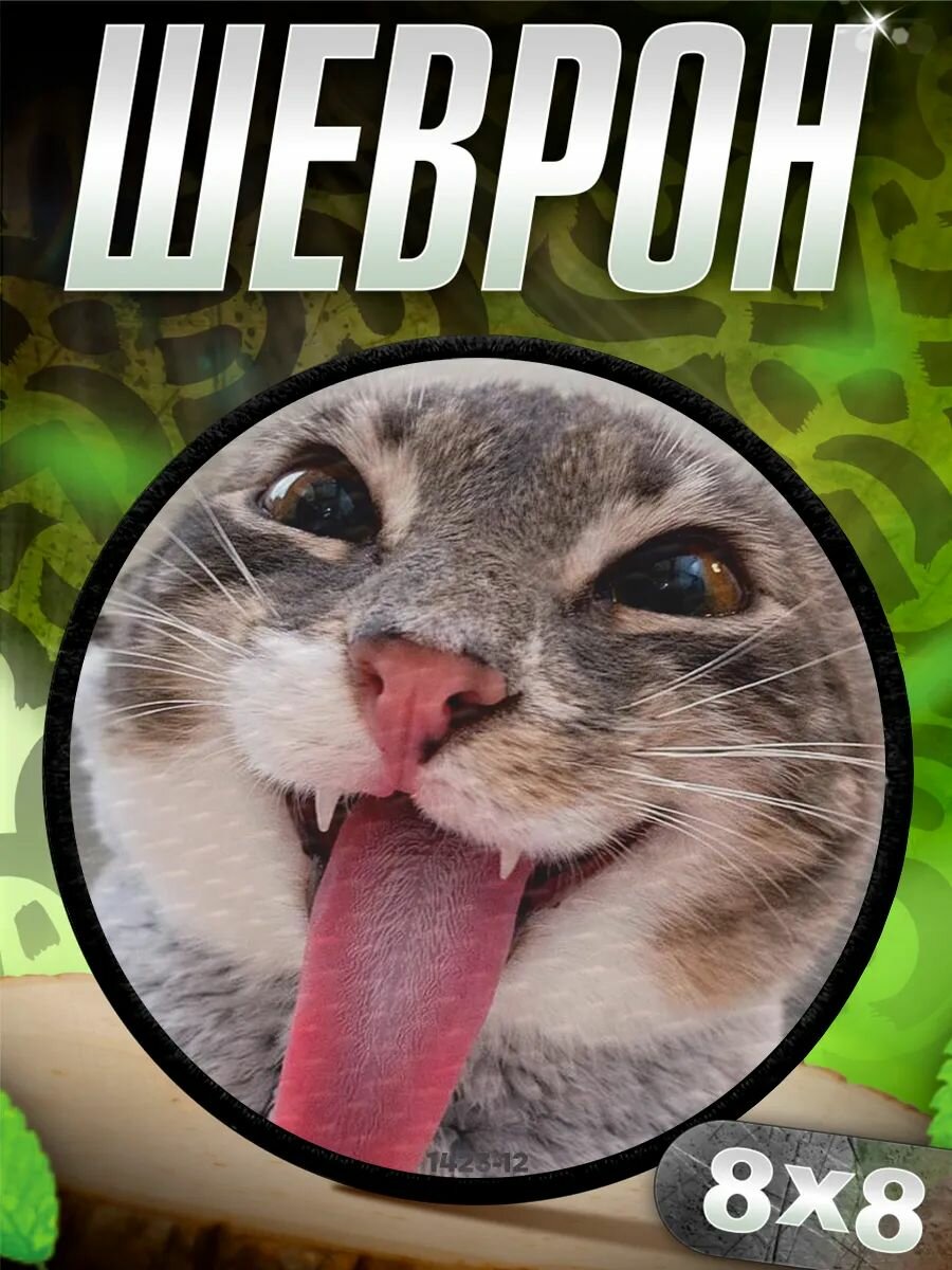 Шеврон на липучке нашивка на одежду котик мем Rigby Cat