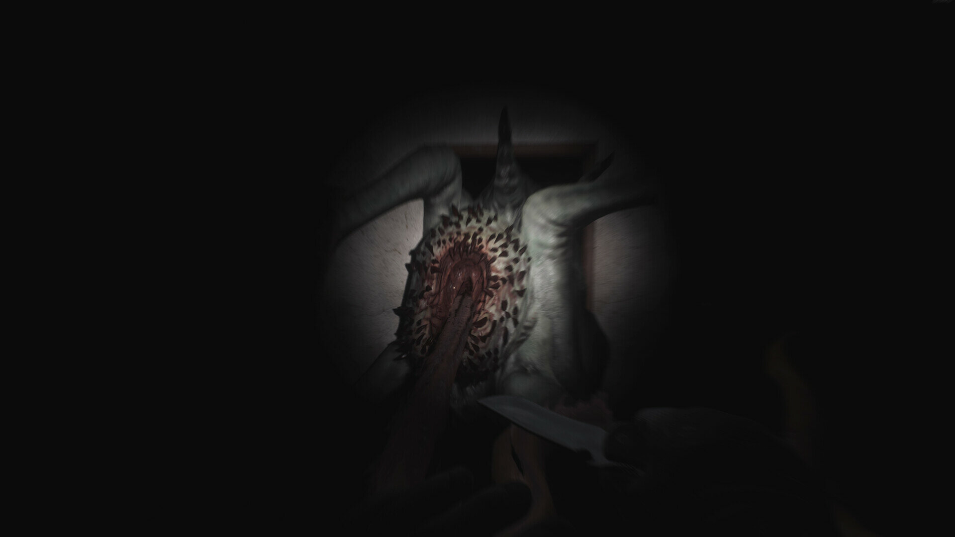 SCP: 5K, Все страны — фото 1