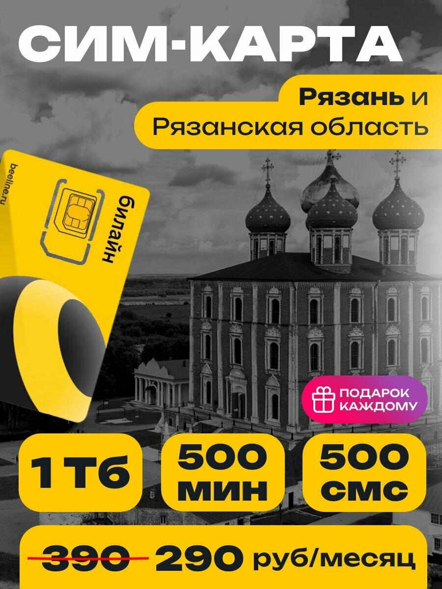 Сим-карта Билайн тариф Эксклюзивный Онлайн Лайт Рязанская область 1024 Гб + 500 минут за 290 руб.