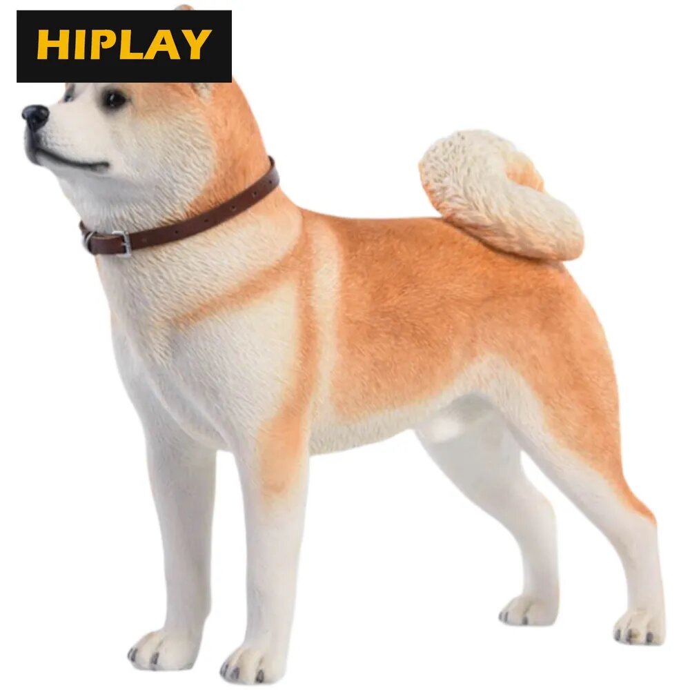 HiPlay JXK Коллекционная фигурка собаки: Японская акита, мастерски расписанная, реалистичная, безопасная смола, миниатюрная фигурка животного в масштабе 1:6 JXK007A