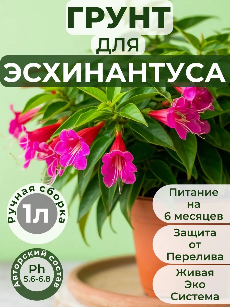 Готовый авторский грунт для Эсхинантуса премиум 1 л