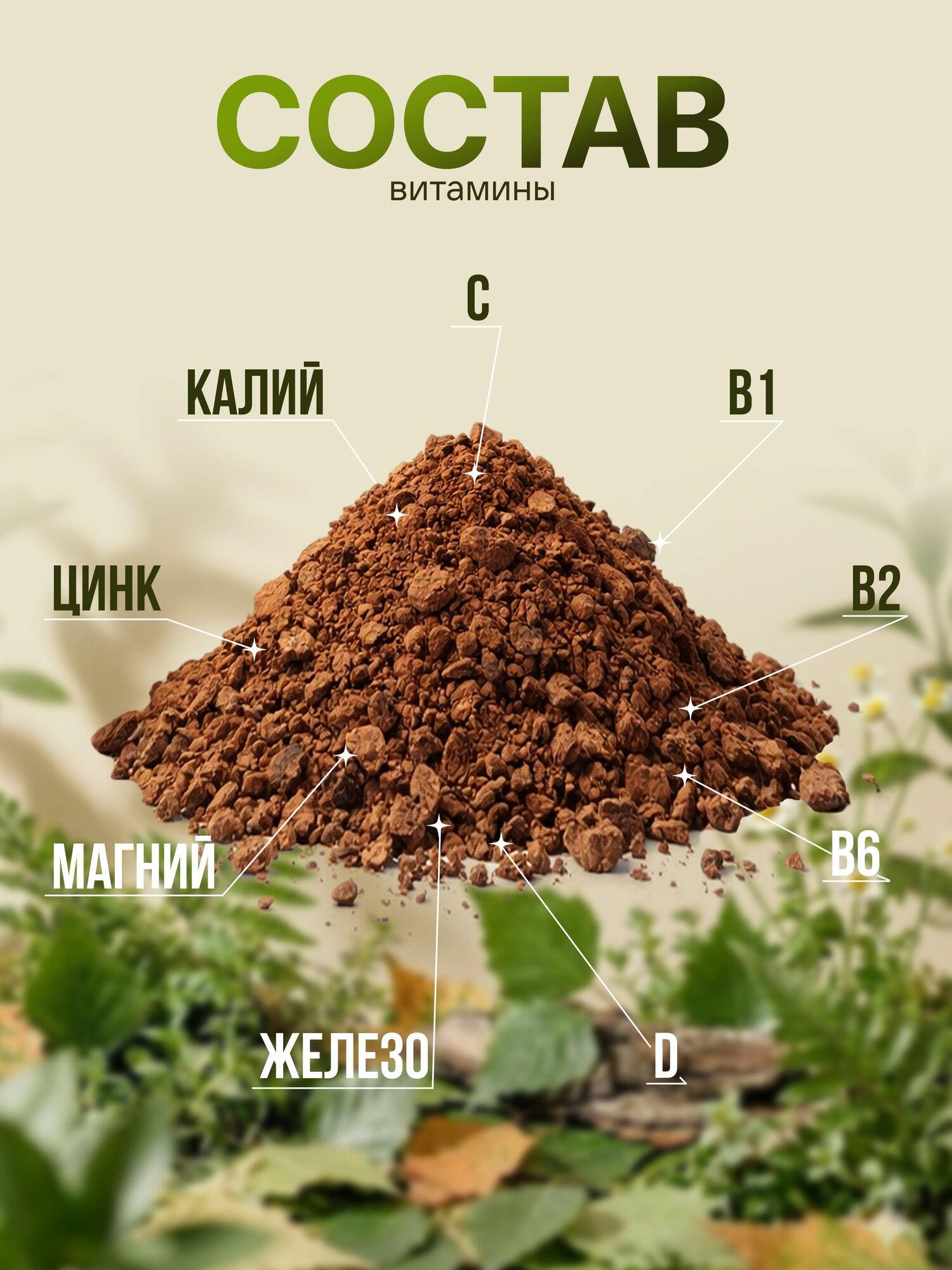 Чага березовая — фото 1