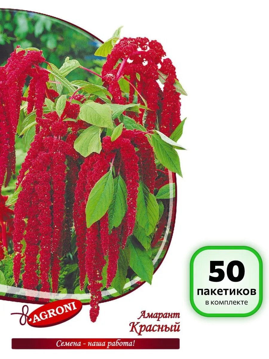 (50 шт.) - Семена Амарант красный (0,1г)