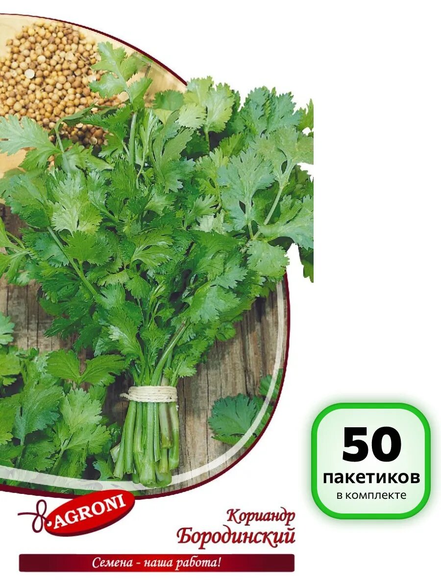 (50 шт.) - Семена Кориандр Бородинский (4,0г)