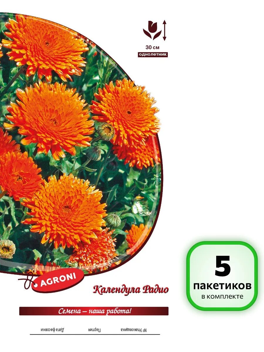 (5 шт.) - Семена Календула Радио (0,3г)