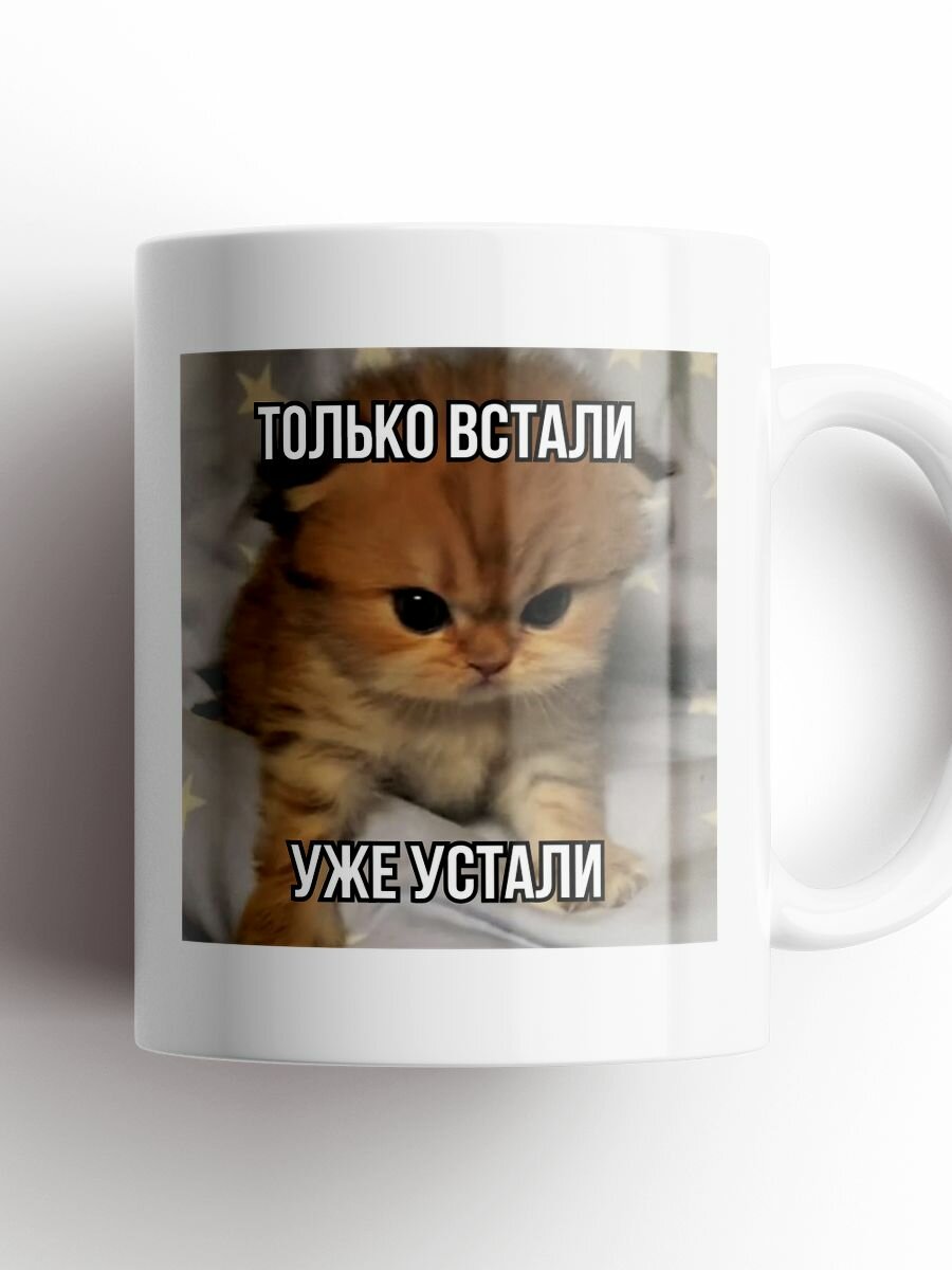 Кружка с приколом котик мем в подарок