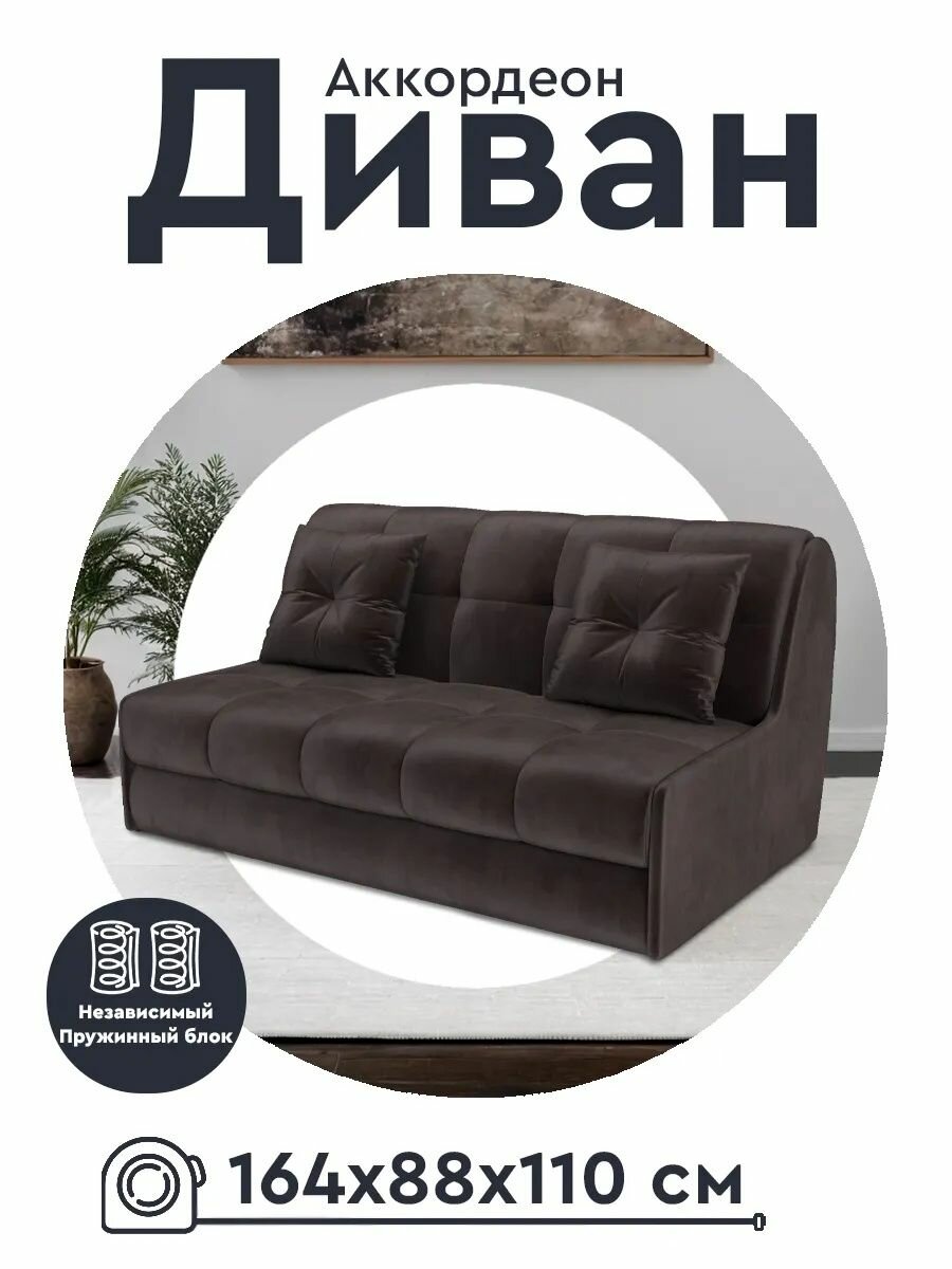 Диван-кровать Мебель-Арс Барон №2, аккордеон, 155×200 см, независимый пружинный блок, вельвет, бархат шоколадный