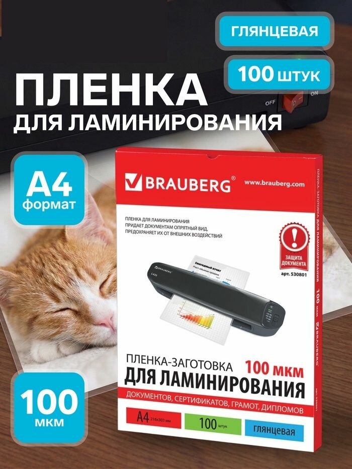 Пленка для ламинирования A4 216х303 мм, 100 мкм, 100 штук, глянцевые, BRAUBERG