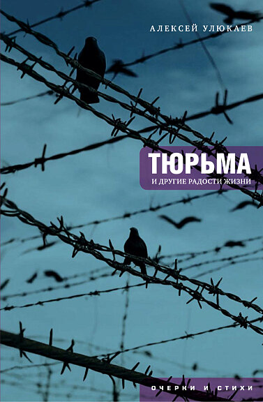 Тюрьма и другие радости жизни: очерки и стихи