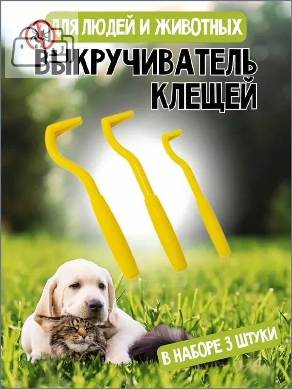 Качественный экстрактор для извлечения клещей