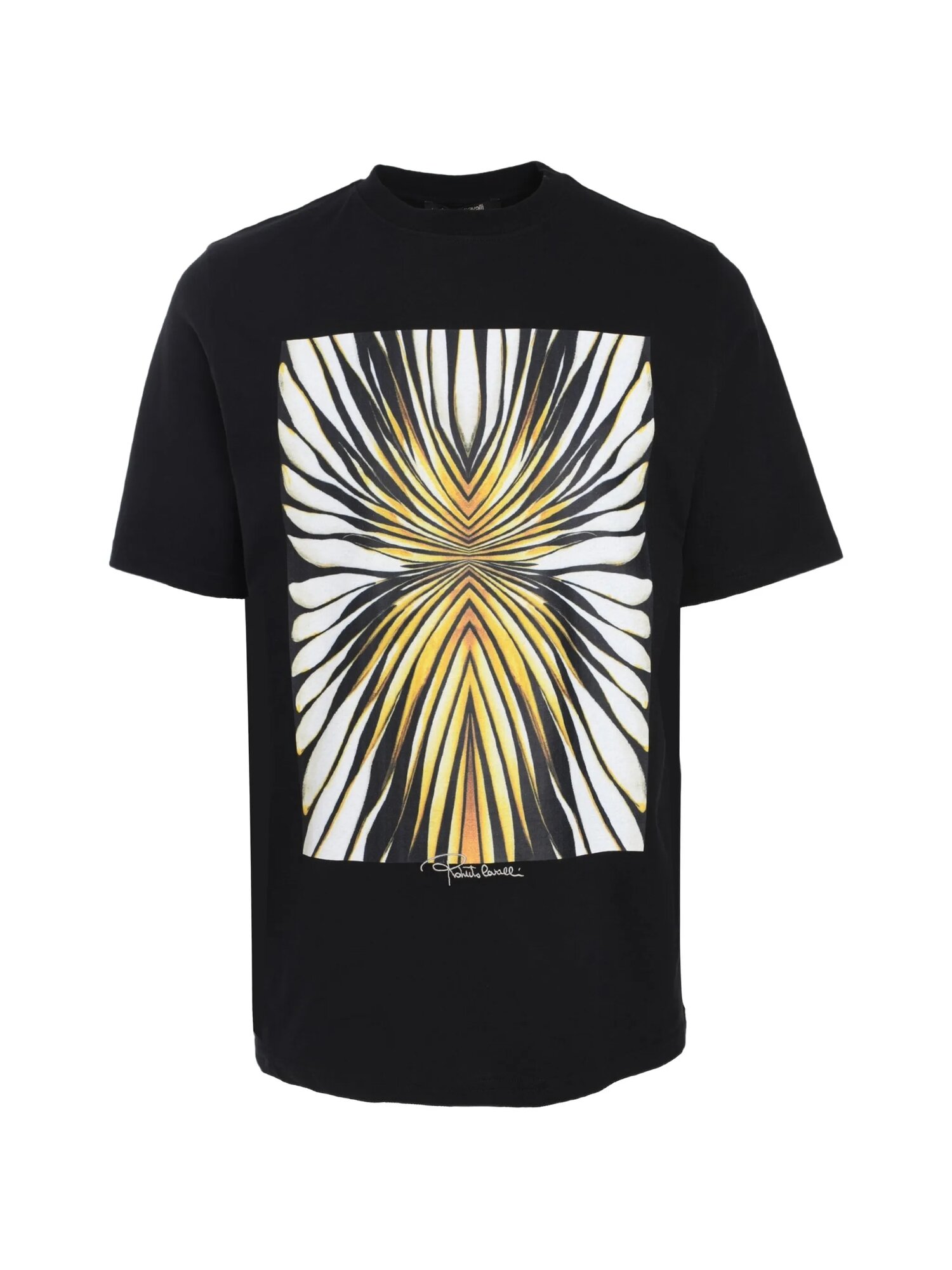 Футболка Roberto Cavalli