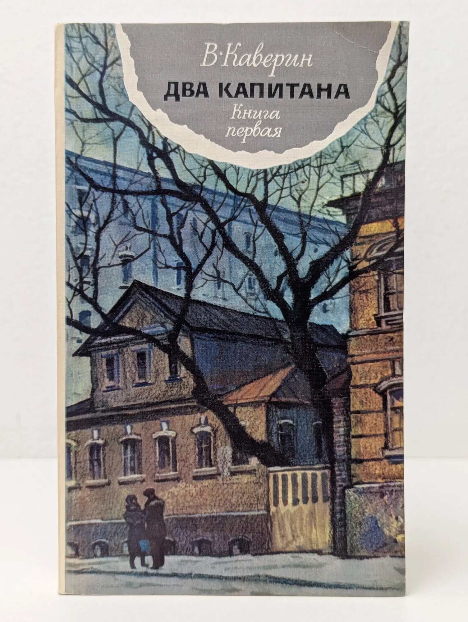 Два капитана. Роман в 2 книгах. Книга 1 Каверин Вениамин Александрович 1979