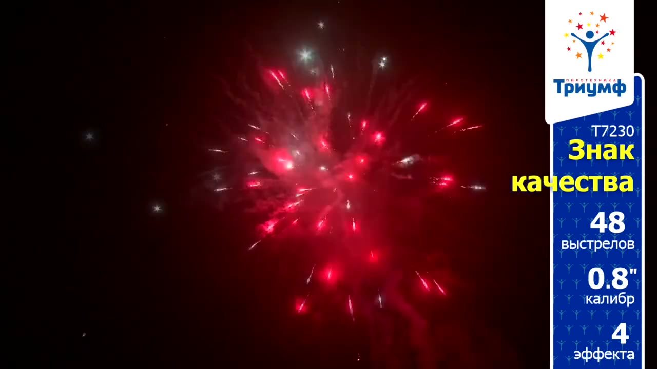 Фейерверк Триумф Т7230 Знак качества — фото 1
