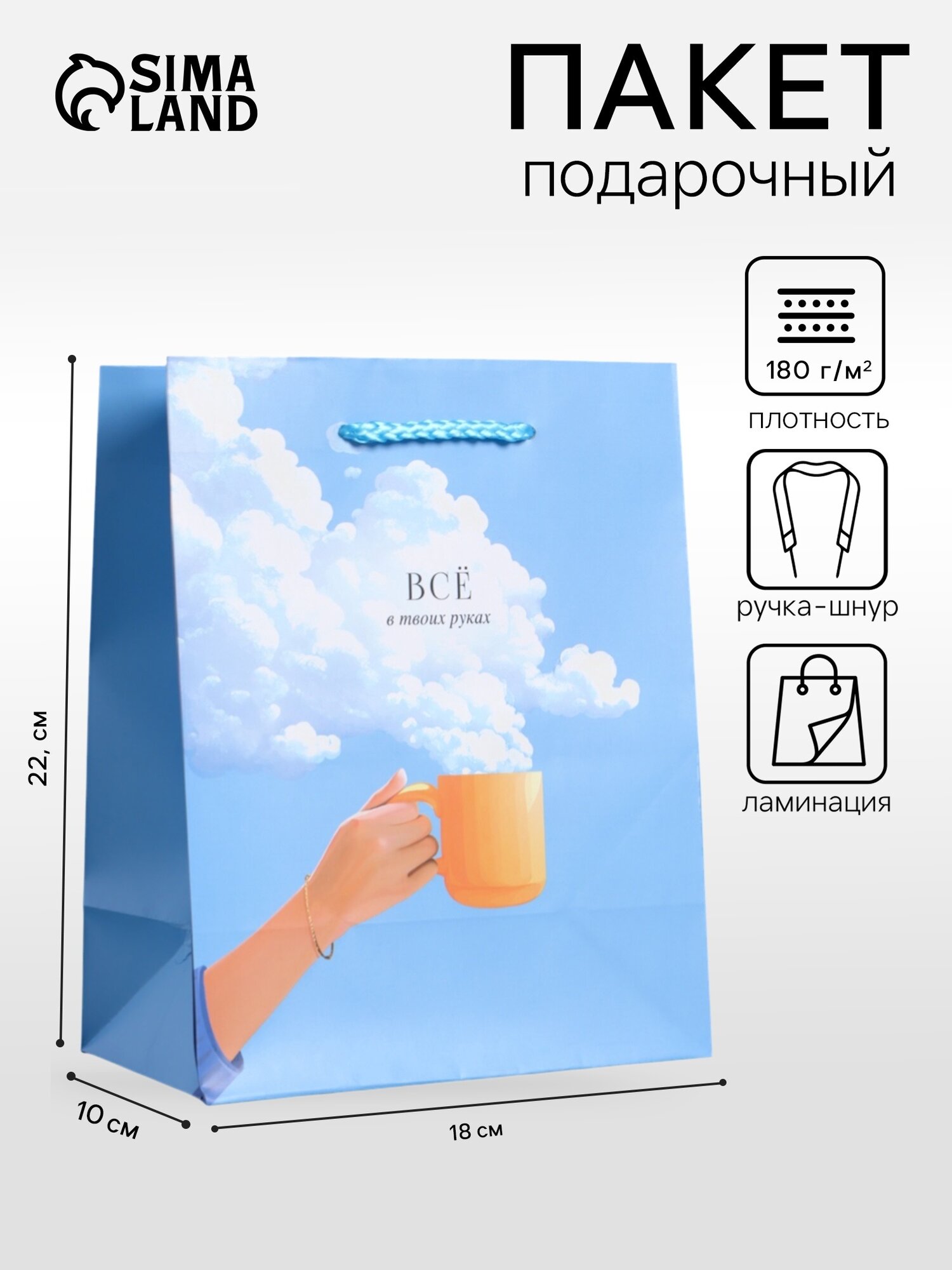 Пакет подарочный ламинированный «Всё в твоих руках», голубой, 18×22.3×10 см