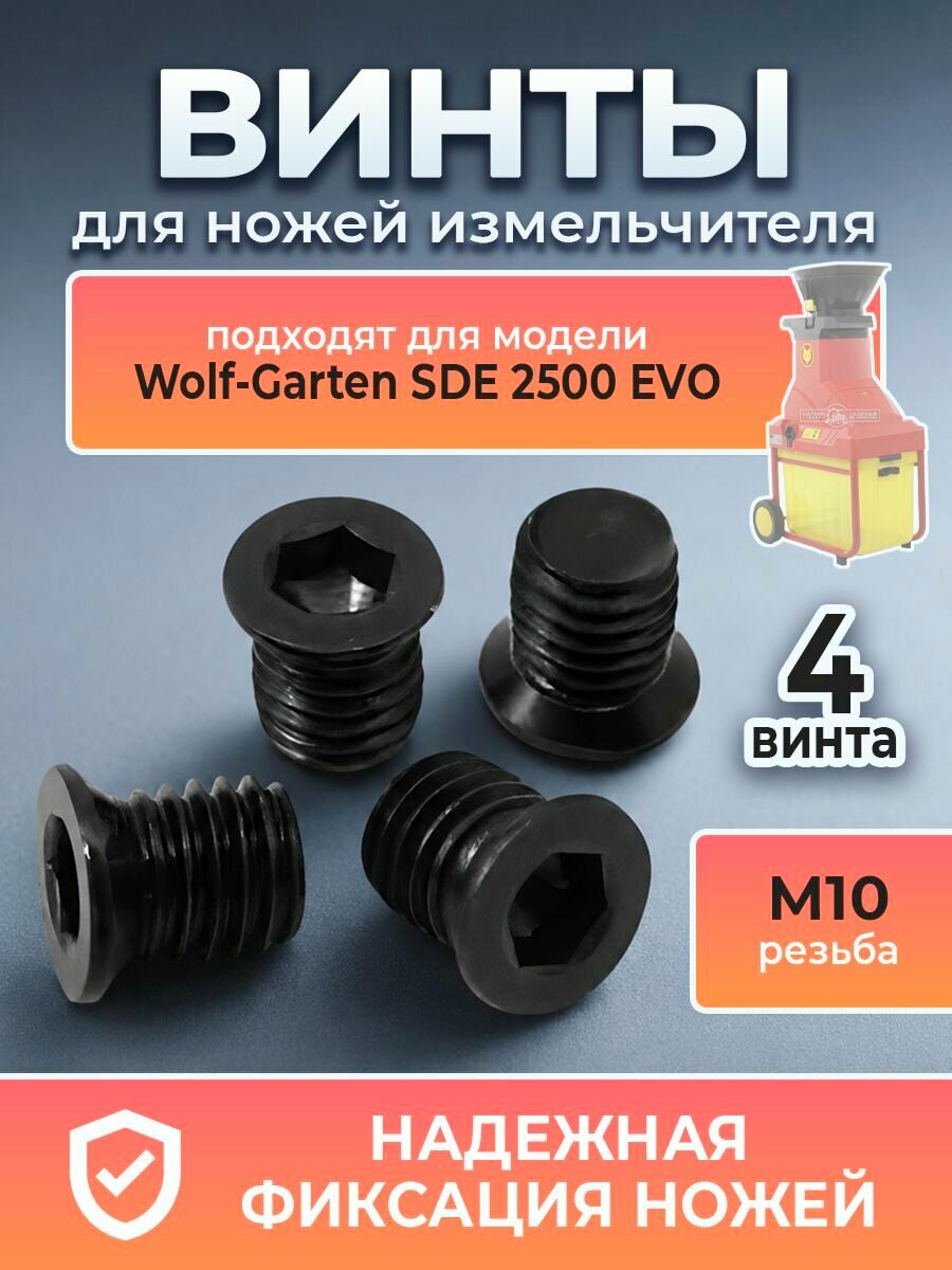Винты для крепления ножей Wolf-Garten SDE_EVO, 4 шт, чёрный цвет