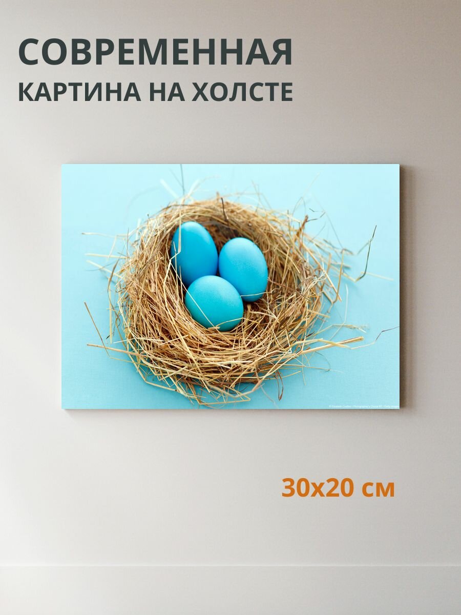 Картина на холсте Гнездо с яйцами 30x20 см