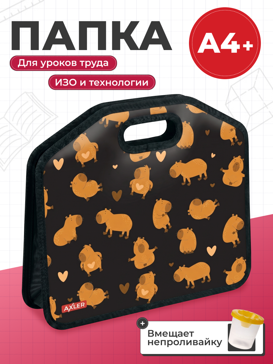 Папка для труда AXLER А4 с ручками на молнии для мальчиков и девочек