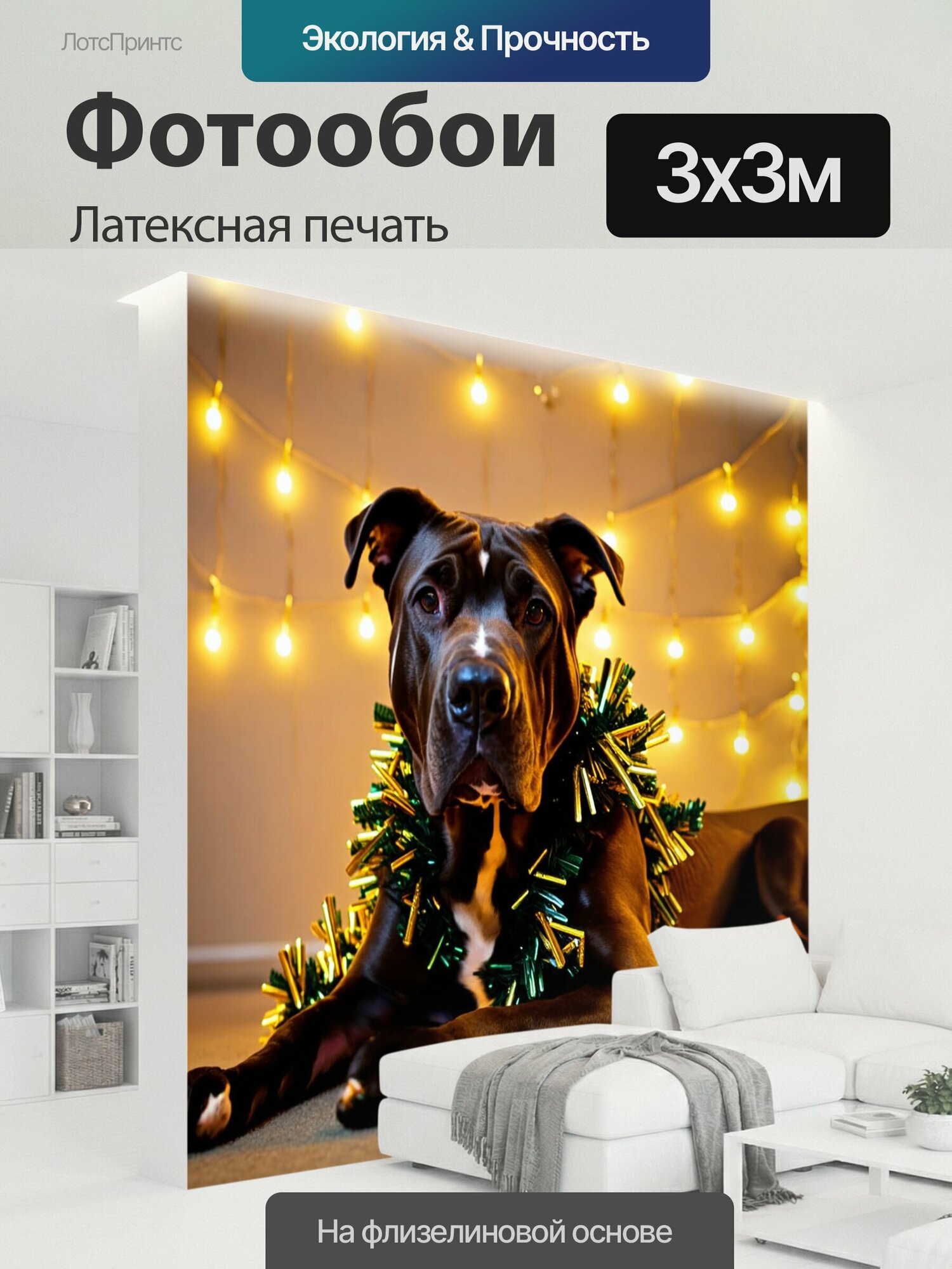 Фотообои моющиеся ударопрочные "Собака лежит на полу, порода коне корсо, обернута гирляндой с желтыми огоньками, на фоне стены с висящими." 300x300 см. латексная печать