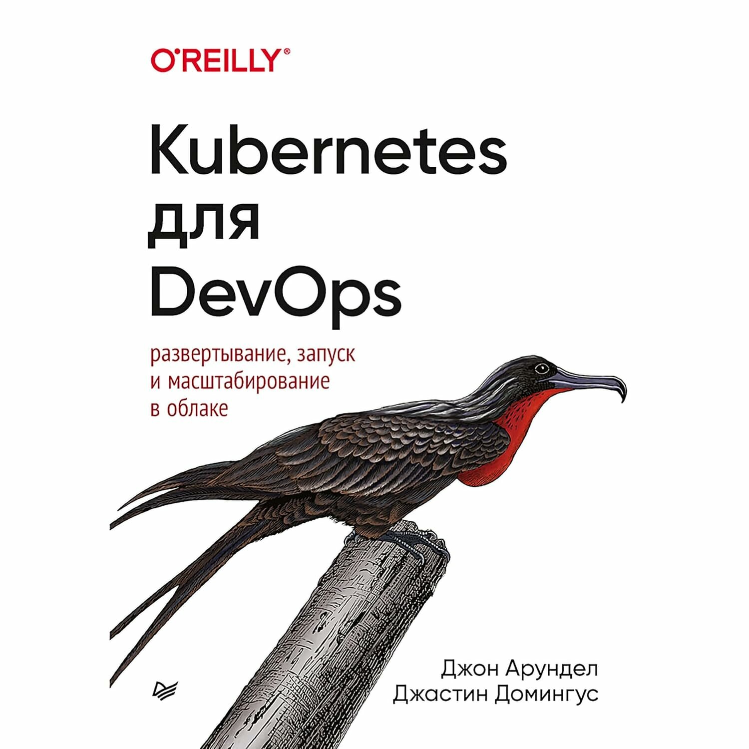 Kubernetes для DevOps: развертывание, запуск и масштабирование в облаке ，Переиздание книг
