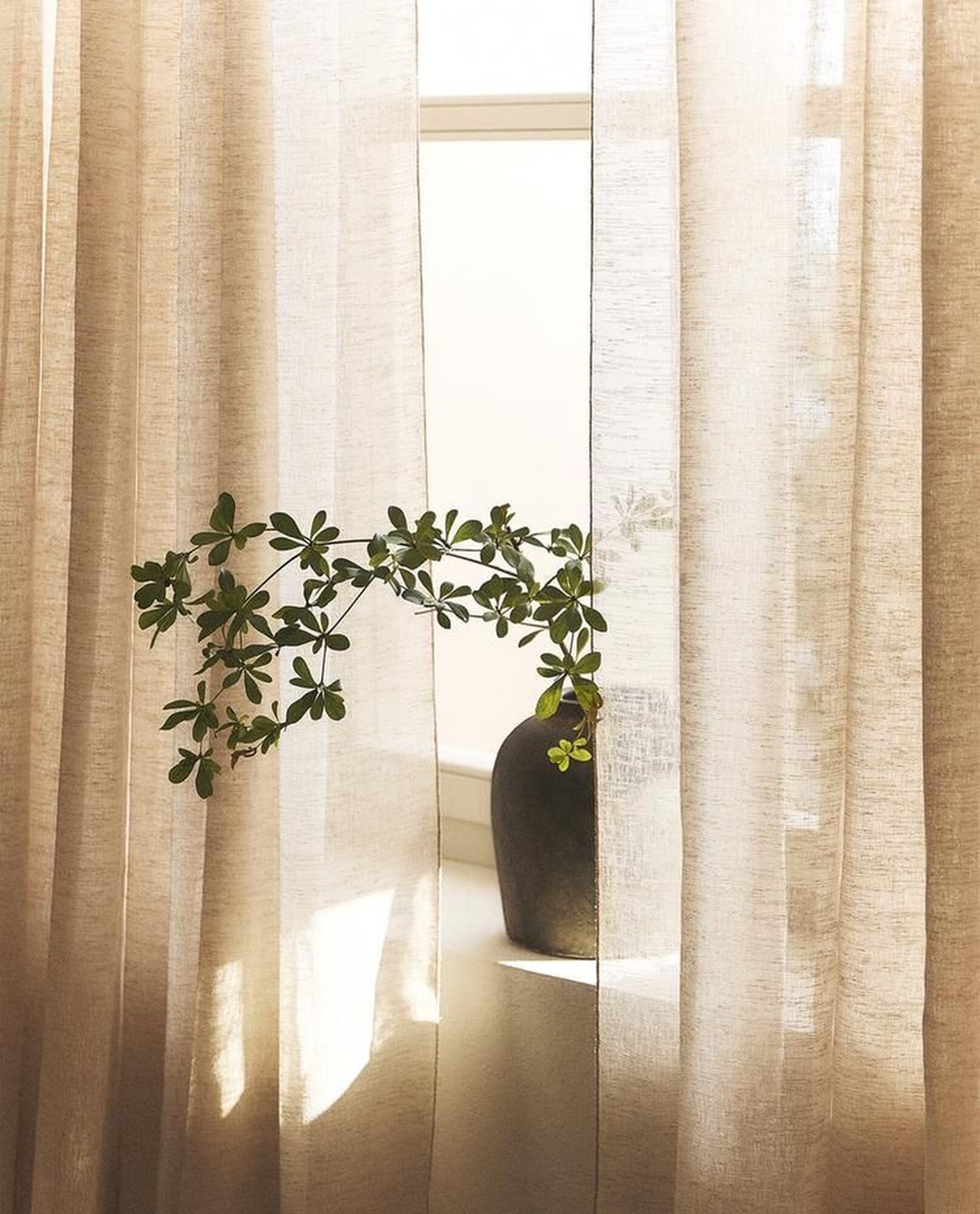 Прозрачная штора, 140 x 270 см, светло-бежевый, ZARA HOME 1305/032