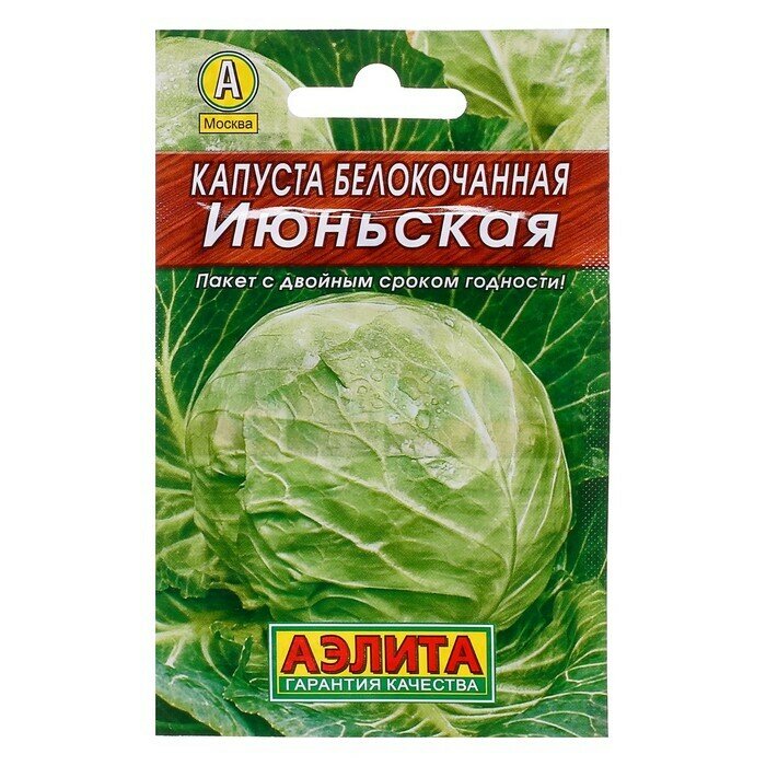 Семена Капуста белокочанная 'Июньская' 'Лидер', 0,5 г ,