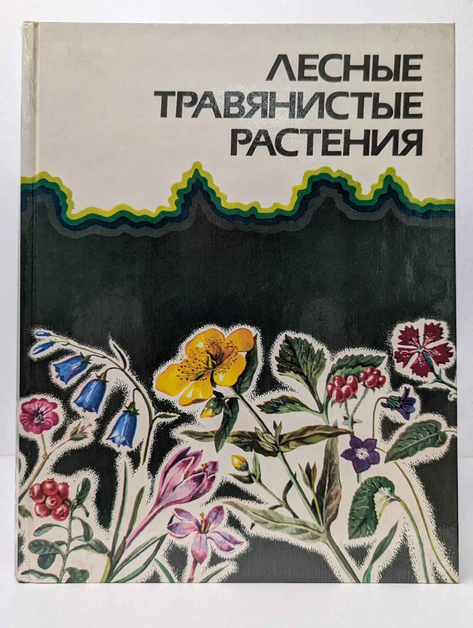 Лесные травянистые растения Алексеев Юрий Евгеньевич, Вахрамеева Мария Георгиевна, Денисова Лариса Васильевна 1988