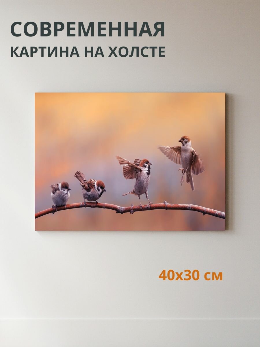 Картина на холсте Птицы на ветке 40x30 см