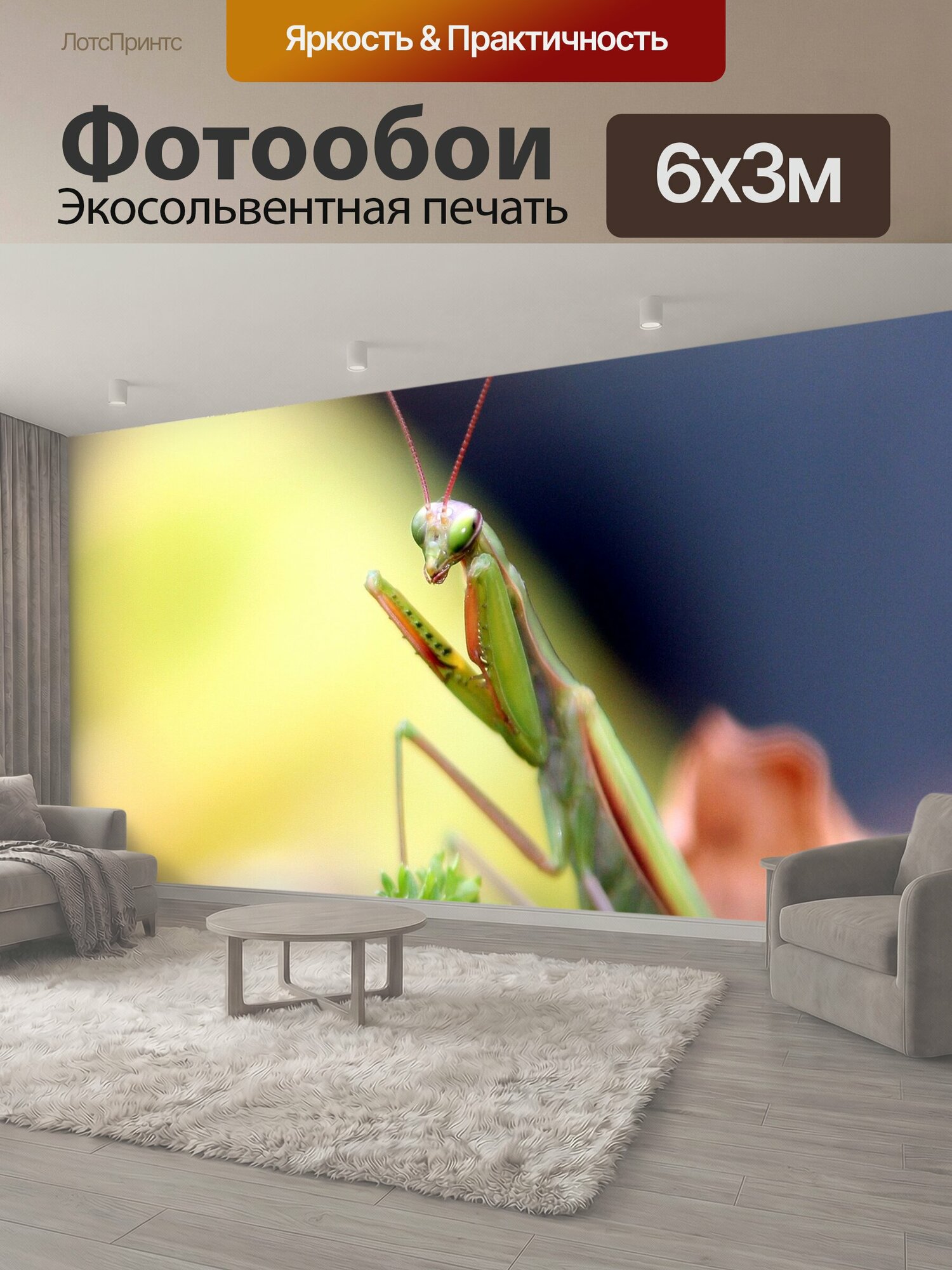 Фотообои "Насекомое, богомол, кузнечик" 600x300 см. экосольвентная печать